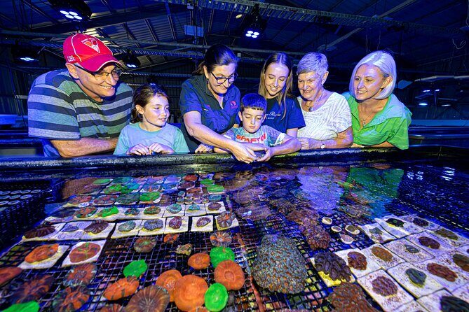 One Hour Coral Farm Tour, Discover Australia's Marine Life - The Sum Up