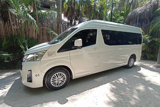 One way From Cancun Airport Private Transport to Tulum Centro - The Experience in Detail