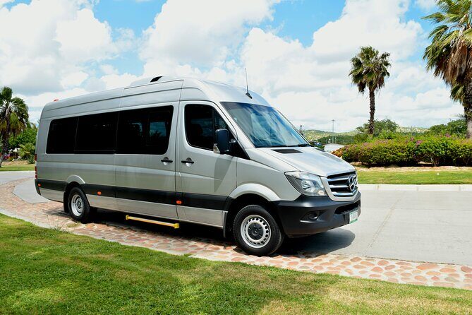 One-Way Los Cabos Private Airport Transfer - Sprinter up to 13 Passengers - What to Expect from the Transfer