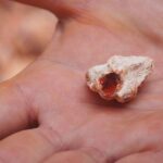 Opal Mining Experience and Tequila Tasting PRIVATE TOUR - What Travelers Can Expect