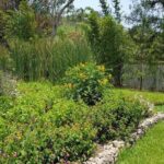 Openwork butterfly garden - Frequently Asked Questions