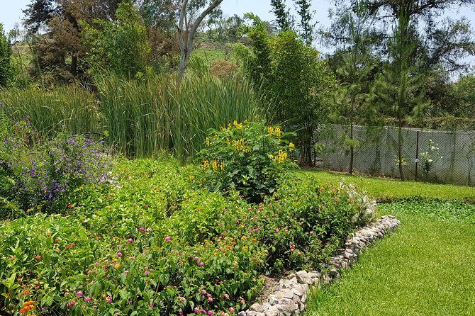 Openwork butterfly garden - Frequently Asked Questions