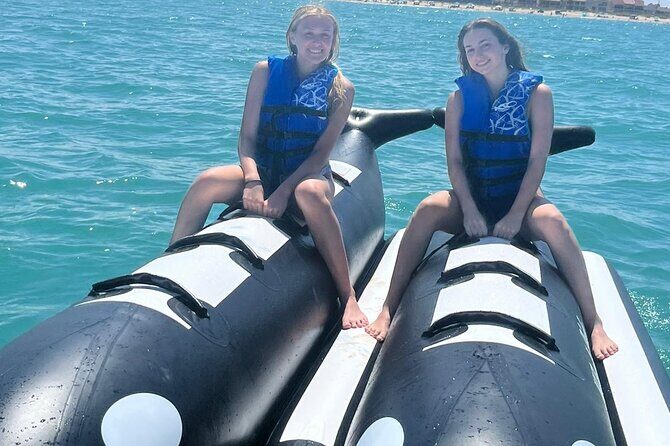 Orca Whale Inflatable Rides - Value and Cost Analysis