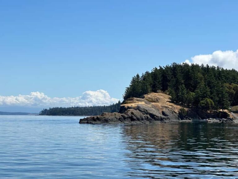 Orcas Island: Wildlife Spotting Kayak Tour - Why This Tour Is Particularly Worth It