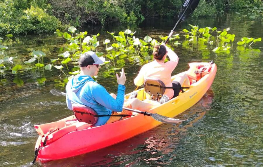 Orlando: Blue Springs Manatee Kayak Tour - Why This Tour Offers Good Value