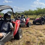 Orlando: Dune Buggy Tour - The Sum Up