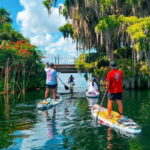 Orlando: Winter Park Paddle Adventure - Exploring Winter Park’s Lakes: What to Expect