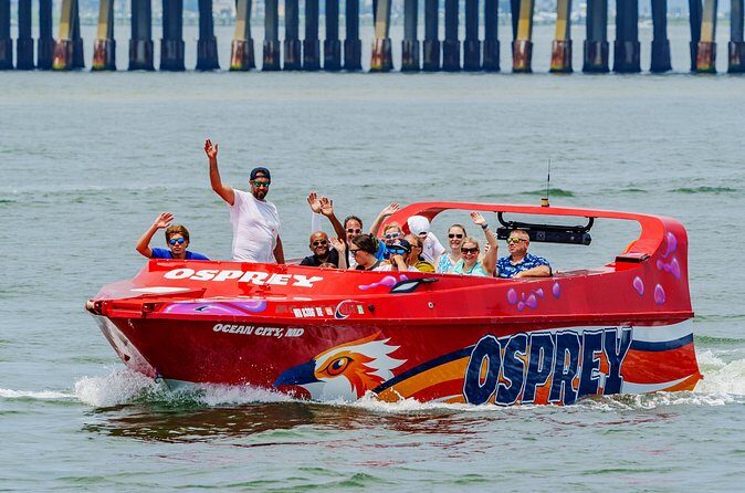 Osprey: A Unique Jet Boat Experience - An In-Depth Look at the Osprey Jet Boat Tour