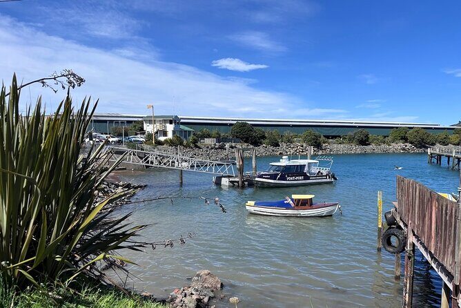 Otago Harbour by Bike: A Self Guided Tour - An Honest Breakdown of the Otago Harbour Bike Tour