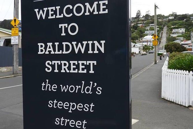 Otago Peninsula Scenery and Dunedin City Highlights Tour - The Sum Up