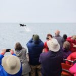 Otago Peninsula Wildlife Cruise with Monarch - The Wildlife and Scenery: A Closer Look