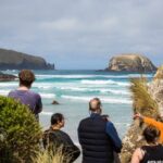Otago Peninsula Wildlife Tour & Cruise - Transportation and Comfort