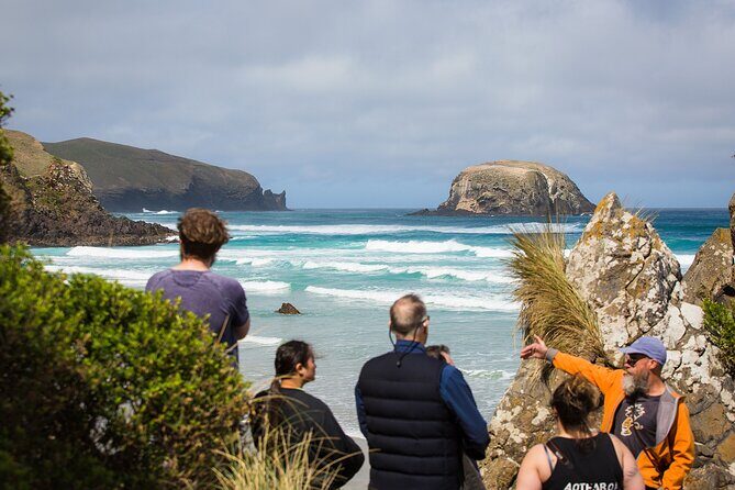 Otago Peninsula Wildlife Tour & Cruise - Transportation and Comfort