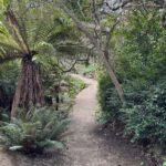 Otago Peninsula's Hidden Gems: A Self Guided Driving Tour - Why This Tour Delivers Great Value