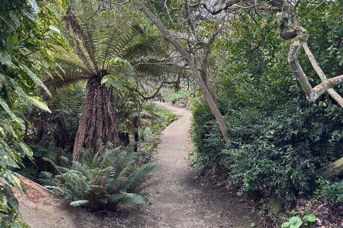 Otago Peninsula's Hidden Gems: A Self Guided Driving Tour - Why This Tour Delivers Great Value