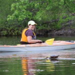 Ottawa: Ecological Reserve Kayak Tour with Turtle Sightings - What to Expect During the Tour