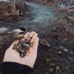 Ottawa: Guided Nature Walk & Wildlife Tour with Hotel Pickup - Who Would Love This Tour?