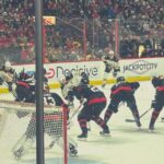 Ottawa: Ottawa Senators Ice Hockey Game Ticket - Who Will Love This Experience?