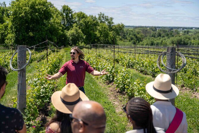 Ottawa's Wine and Cider Tour - Practical Details and Why They Matter