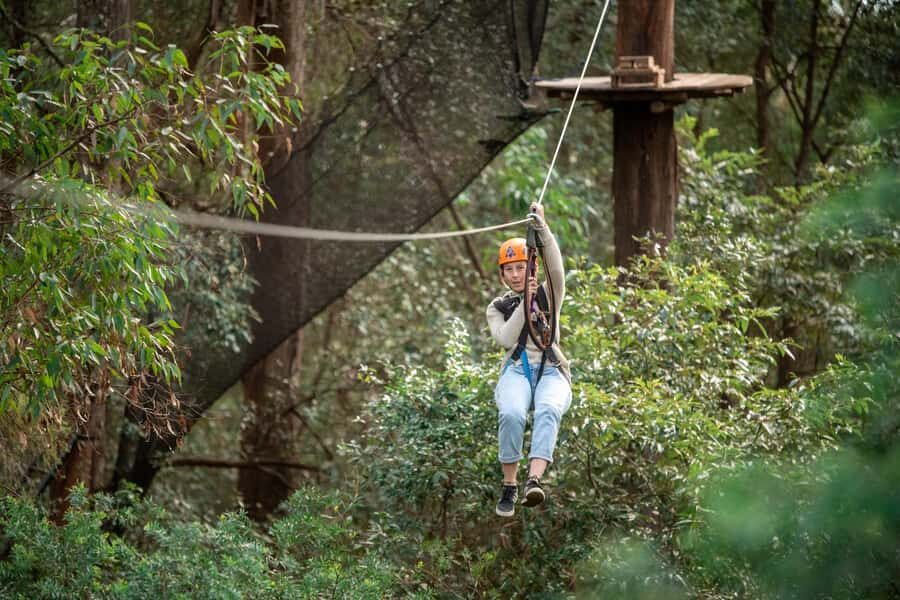 Ourimbah: Central Coast Treetops Adventure Tree Ropes Course - Why This Experience Works for Travelers