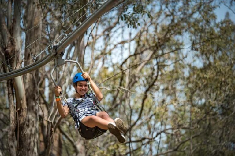 Ourimbah: Central Coast Zipcoaster - Who Will Love the Ourimbah Zipcoaster?
