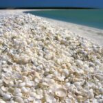 Outback Coast 4 Day Tour - Final Thoughts: Is This Tour for You?