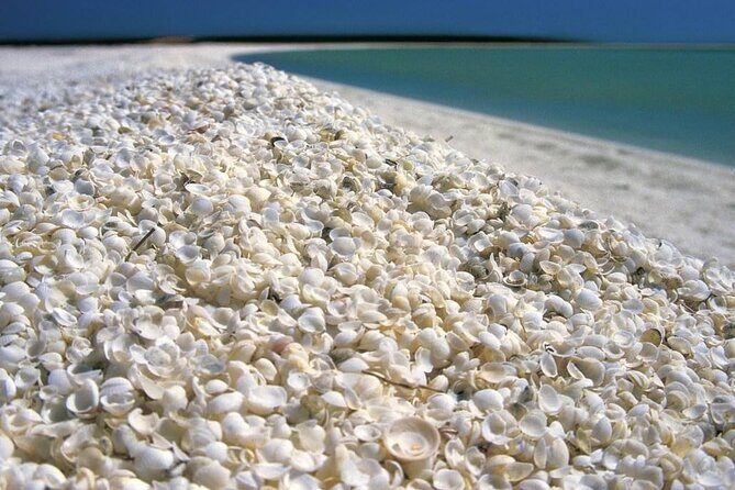 Outback Coast 4 Day Tour - Final Thoughts: Is This Tour for You?