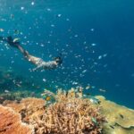 Outer Great Barrier Reef Snorkel Adventure in Airlie Beach - What’s Included and What’s Not