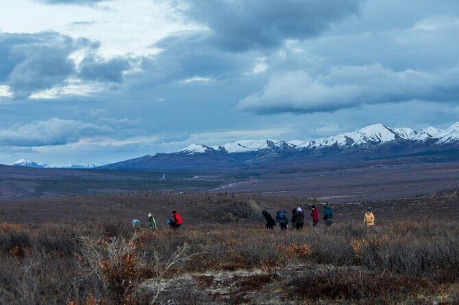 Overnight Denali National Park plus Aurora Chase Tour - How the Price Reflects Value