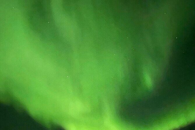 Overnight Dog Sledding Adventure - Authentic Insights from Past Guests