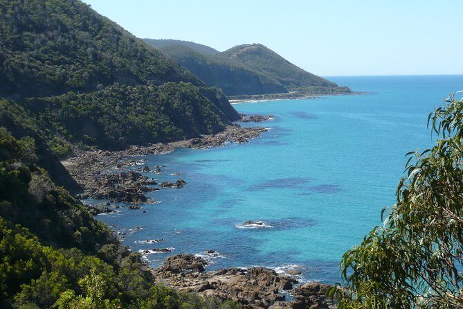 Overnight Great Ocean Road Tour from Melbourne - Exploring the Itinerary in Detail