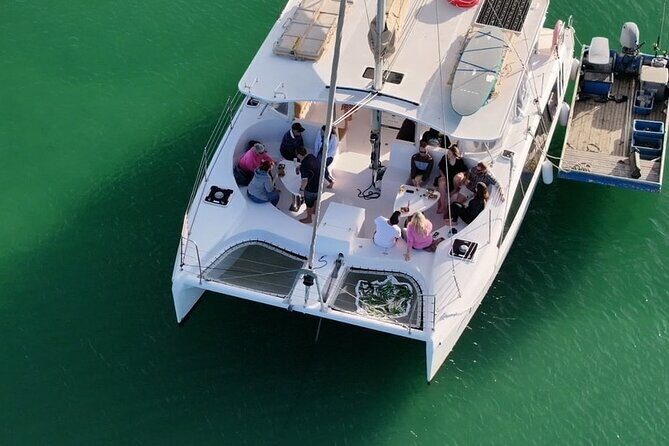 Oyster Farm Tour - What You Can Expect from the Experience