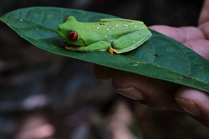 Paddle Board Adventure in a Tropical Paradise - The Itinerary: What You’ll Experience