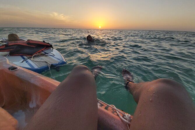 Paddle Board Classes in Holbox with Pick up - Who Is This Tour Best For?