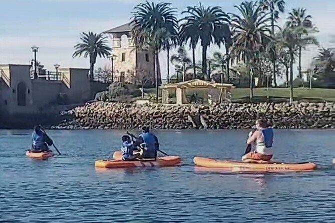 Paddle Board Picnics Lessons Rentals and Outdoor Adventures - Practical Details That Matter