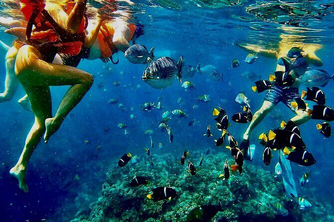 Paddleboard and Snorkeling Experience in Los Arcos - The Value of This Experience