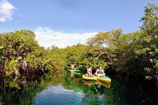 Paddleboard Cenote Tour - Why the Price Reflects Good Value