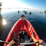 Paddleboard or kayak sunrise tour in Bacalar lagoon - Practical Details and Value