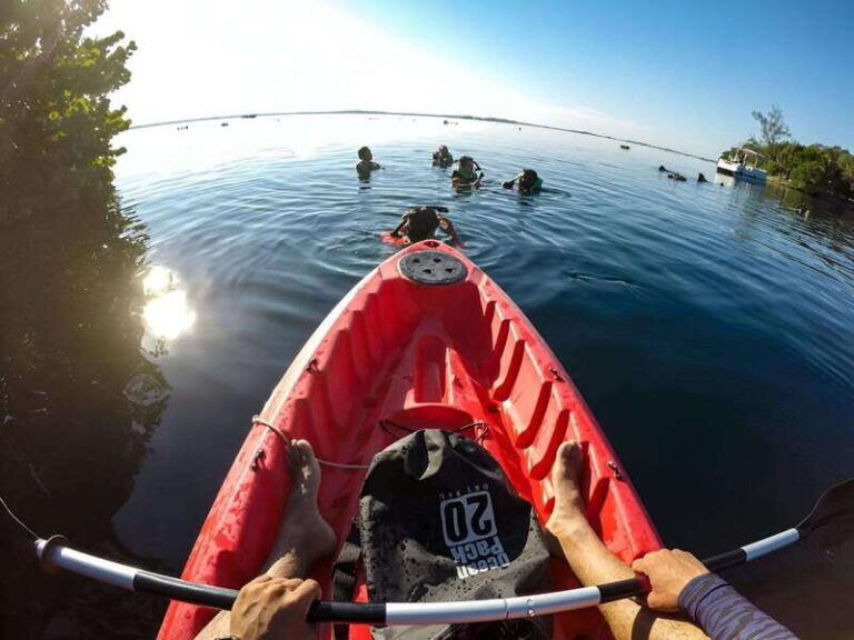 Paddleboard or kayak sunrise tour in Bacalar lagoon - Practical Details and Value