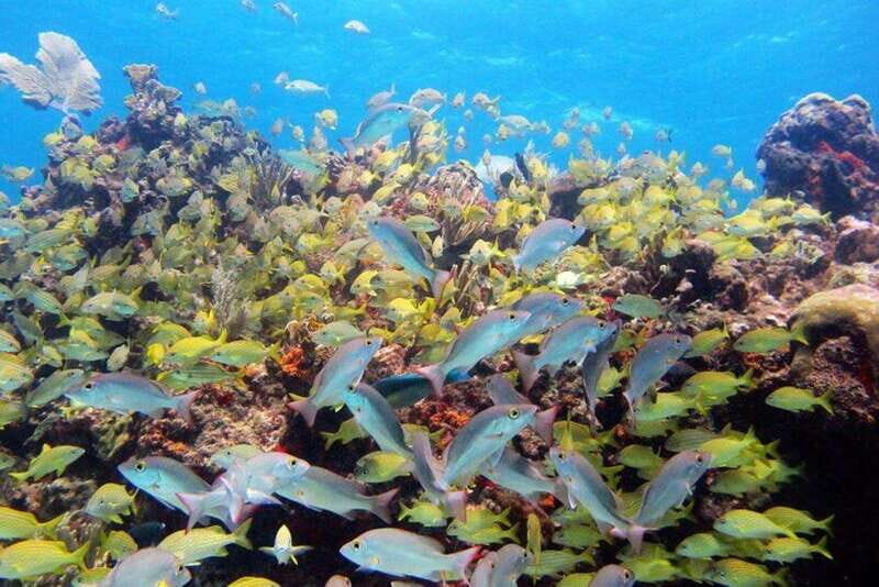 PADI Discover Scuba Diving for divers without certification - Practical Details and Tips