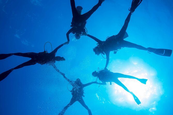 PADI Discover Scuba Diving - Who Should Consider This Tour?
