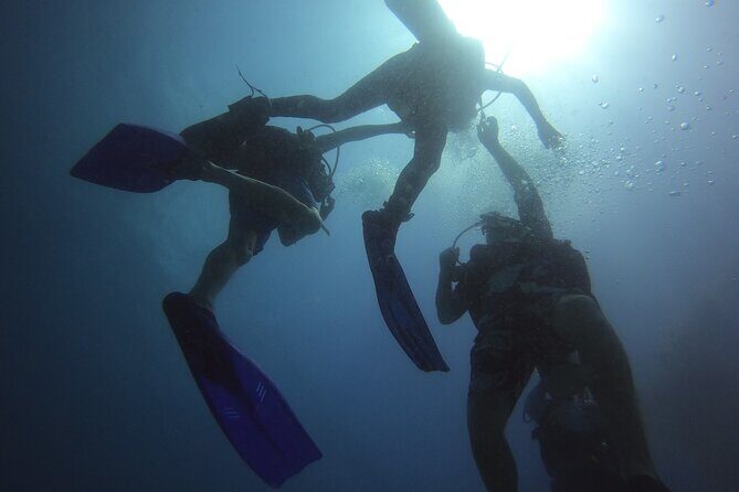 PADI Open Water Diving Certification Course Activity - Overview of the Course Experience