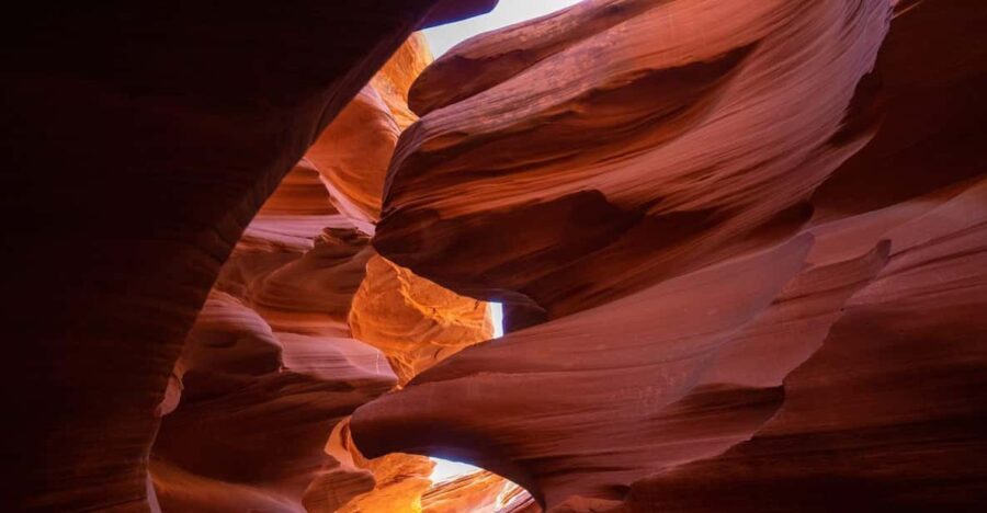 Page: Lower Antelope Canyon Walking Tour with Navajo Guide - The Experiences Highlights and Why They Matter