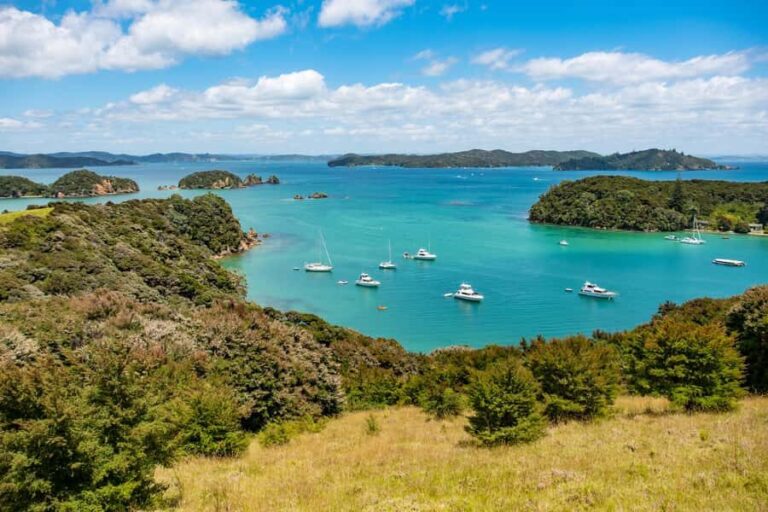 Paihia: Bay of Islands Dolphin Eco Cruise & Island Stopover - Why Choose This Tour?