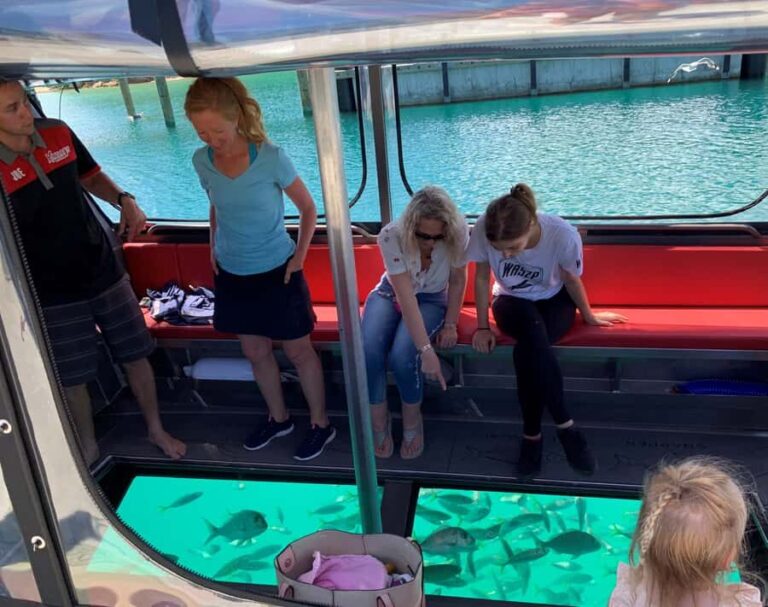 Paihia: Glass Bottom Boat Tour to the Hole in the Rock - What to Expect from the Glass Bottom Boat Tour