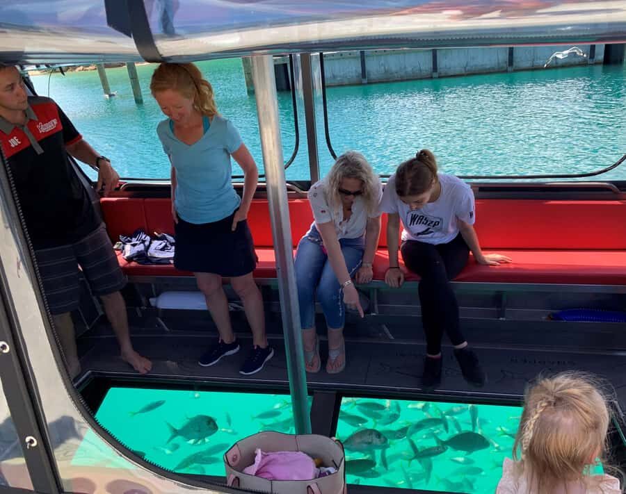 Paihia: Glass Bottom Boat Tour to the Hole in the Rock - What to Expect from the Glass Bottom Boat Tour