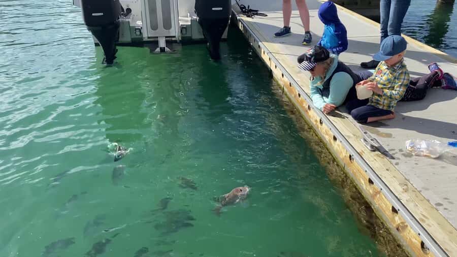 Paihia/Russell: Hole in the Rock Cruise with 2 Island Stops - The Itinerary Breakdown