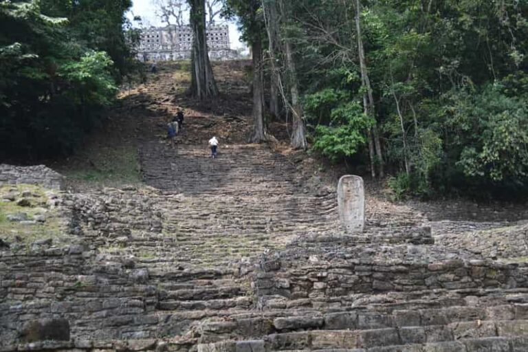 Palenque: 2-Day Lacandon Jungle, Yaxchilan, & Bonampak Trip - What We Think About the Value