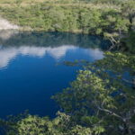 Palenque: Catazajá Lagoon Wildlife Adventure - Why This Tour Offers Great Value