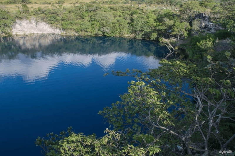 Palenque: Catazajá Lagoon Wildlife Adventure - Why This Tour Offers Great Value
